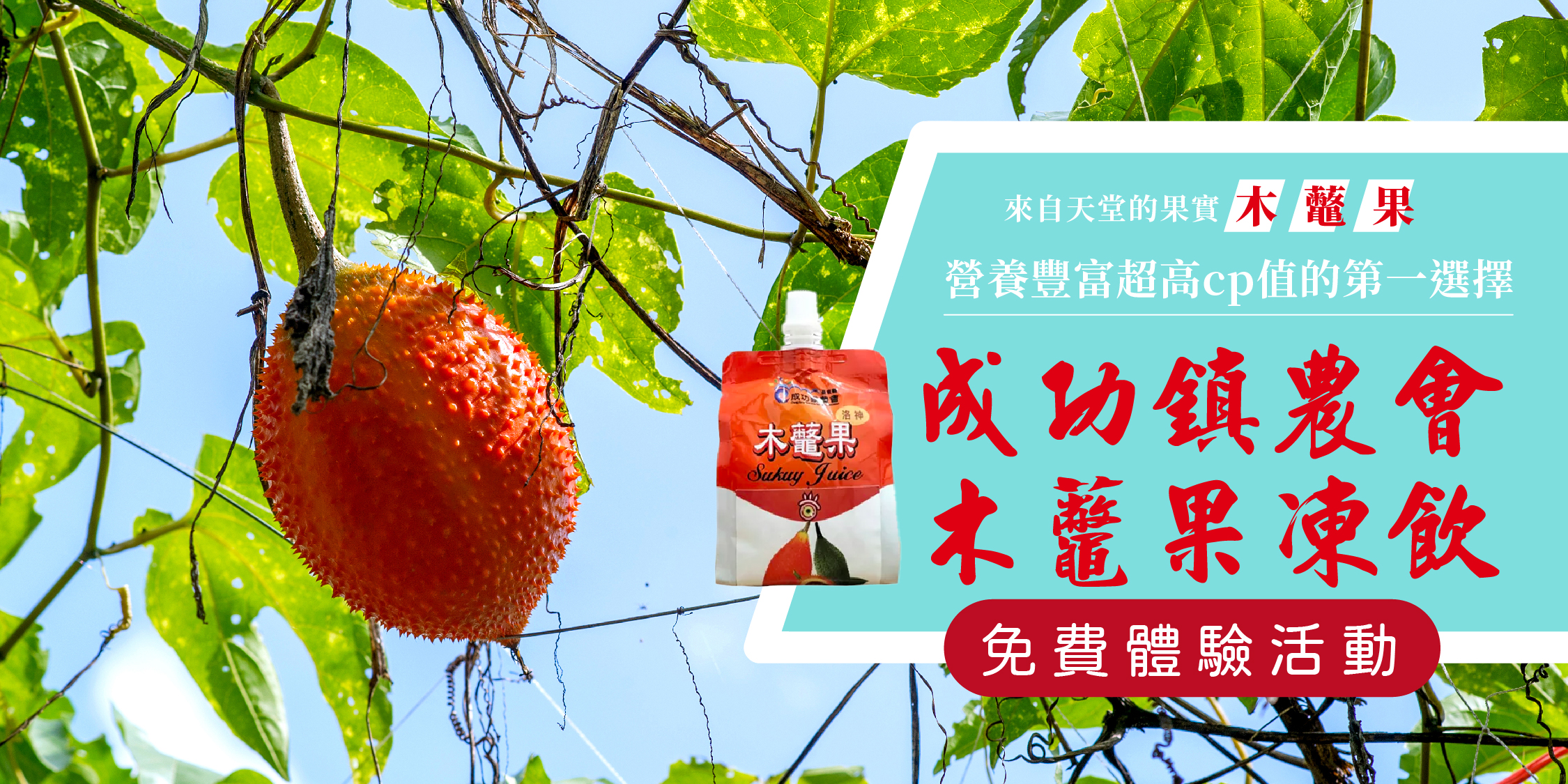 成功鎮農會 木虌果凍飲 來自天堂的果實 營養滿分超高cp值的最佳選擇 @ 食力foodNEXT‧食事求實的知識頻道