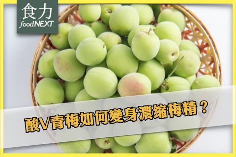 酸V青梅大變身！日本人為何吃梅精保養？|食TV @ 食力foodNEXT‧食事求實的知識頻道